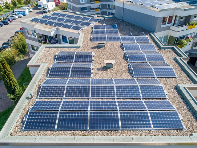 Solar Energy System - Renewable Energy Solutions | Pachitec